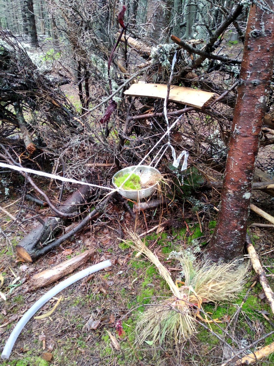 Choosing to choose what they choose to choose (Introduction) – The Play ...